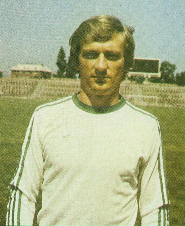 Teljes méret 650 × 795 pixel